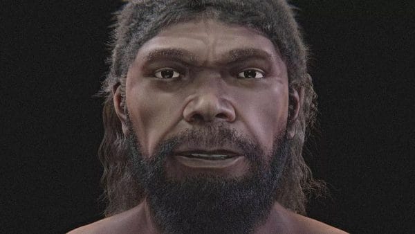 Oldest Known Human Face Reconstructed from 300,000-Year-Old Moroccan ...