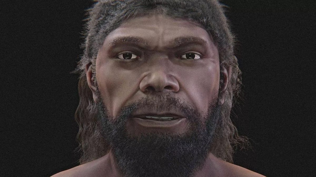 Oldest Known Human Face Reconstructed from 300,000-Year-Old Moroccan ...