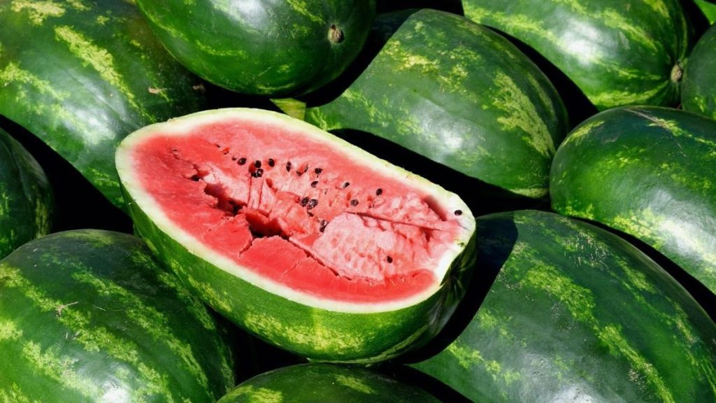 ONSSA Identifies Kenitra Region as Source of Toxic Watermelons