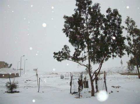 Cairo sees first snow in years as cold snap hits Egypt