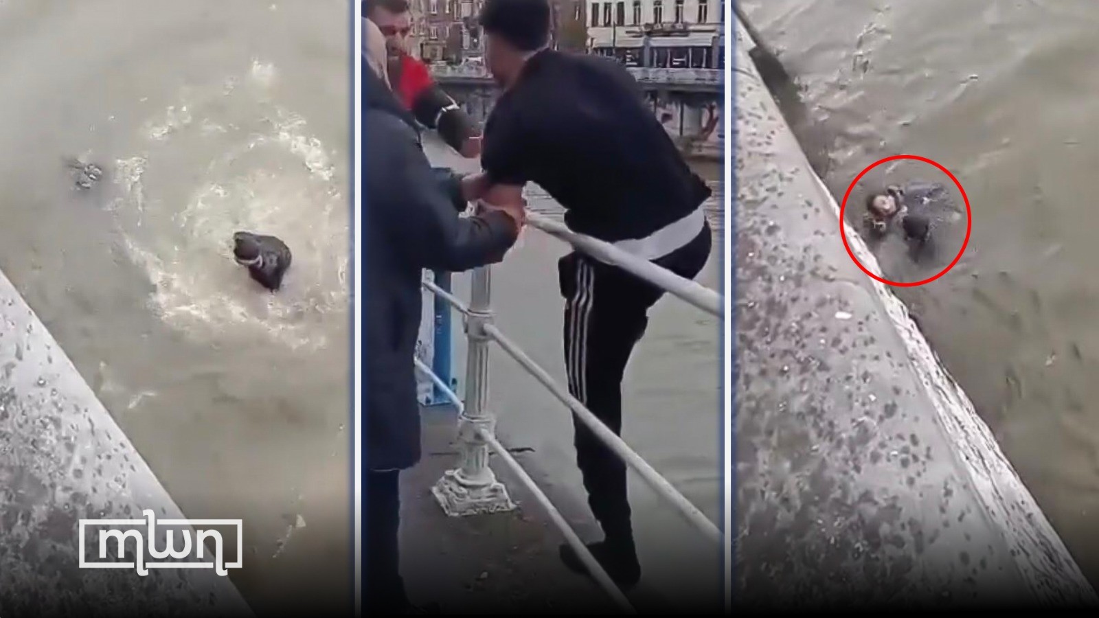 Two Young Moroccans Rescue Drowning Man in Ice-Cold Brussels Canal