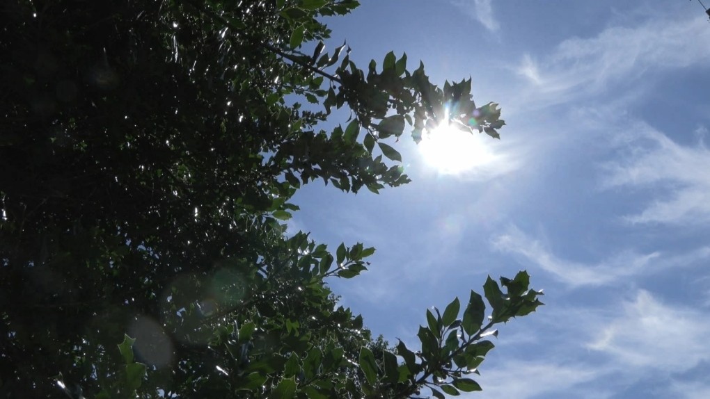 Weather Alert: Heat Wave Expected in Several Moroccan Provinces