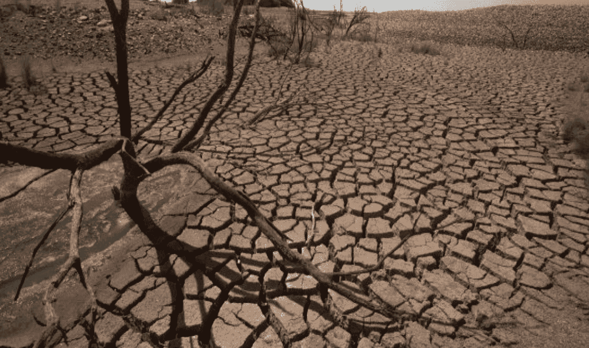 With Dams Below Average Filling Rate, Morocco Faces Worst Drought in 40 ...