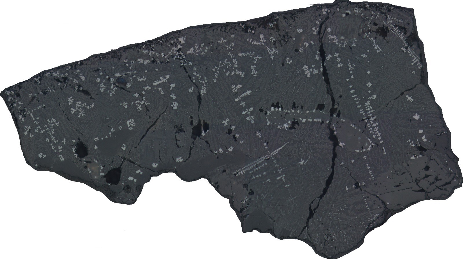 World’s 1st Boomerang Meteorite Found in Morocco Leaves Scientists Dazzled
