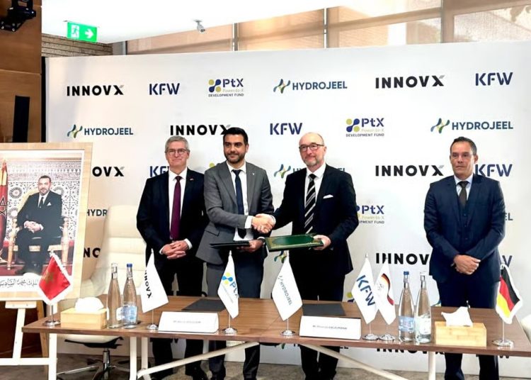 German Fund Backs 100,000-ton Green Ammonia Project in Morocco