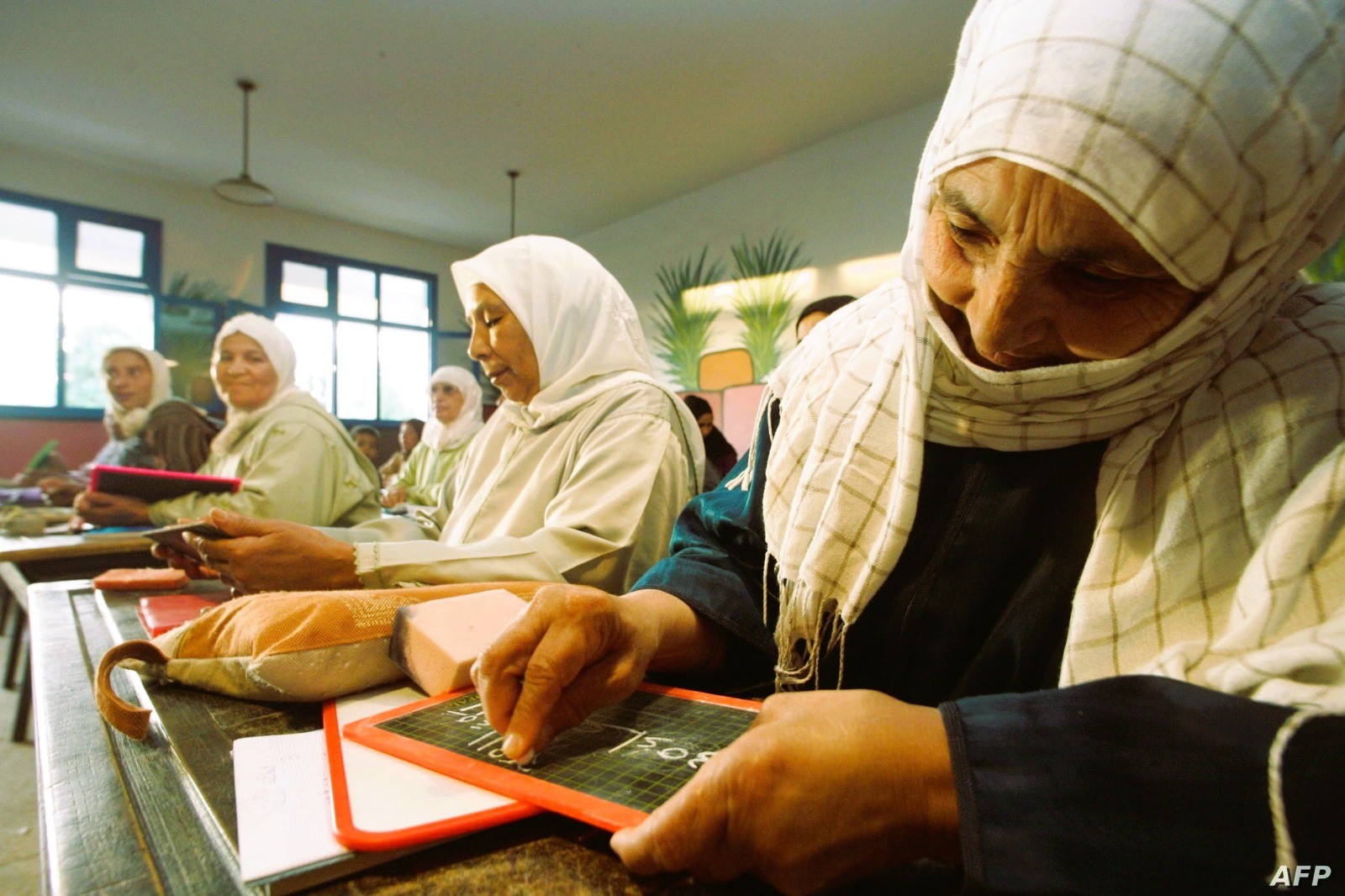 Morocco's Illiteracy Rate Stands at 24.8% in 2024