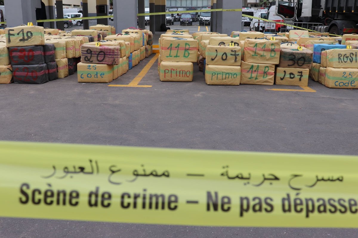 Police Raid Safi Fish Plant After 3.6-Ton Cannabis Bust Linked to ...