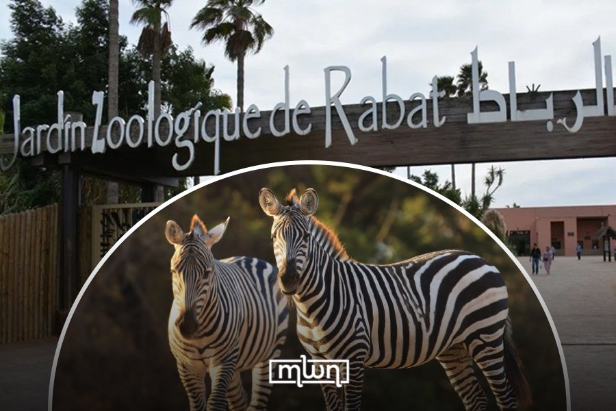 Rabat Zoo Welcomes Over 6 Million Visitors Since Inauguration