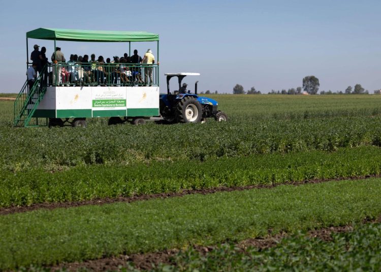 OCP Group Launches Mzinda-Meskala Program to Boost Fertilizer Production