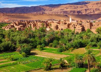 Study: Traditional Oasis Farming in Morocco’s Atlas Faces Urban-Rural ...