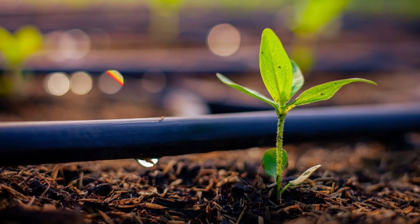 OCP Nutricrops to Expand Fertilizer Production by 9 Million Tons with ...