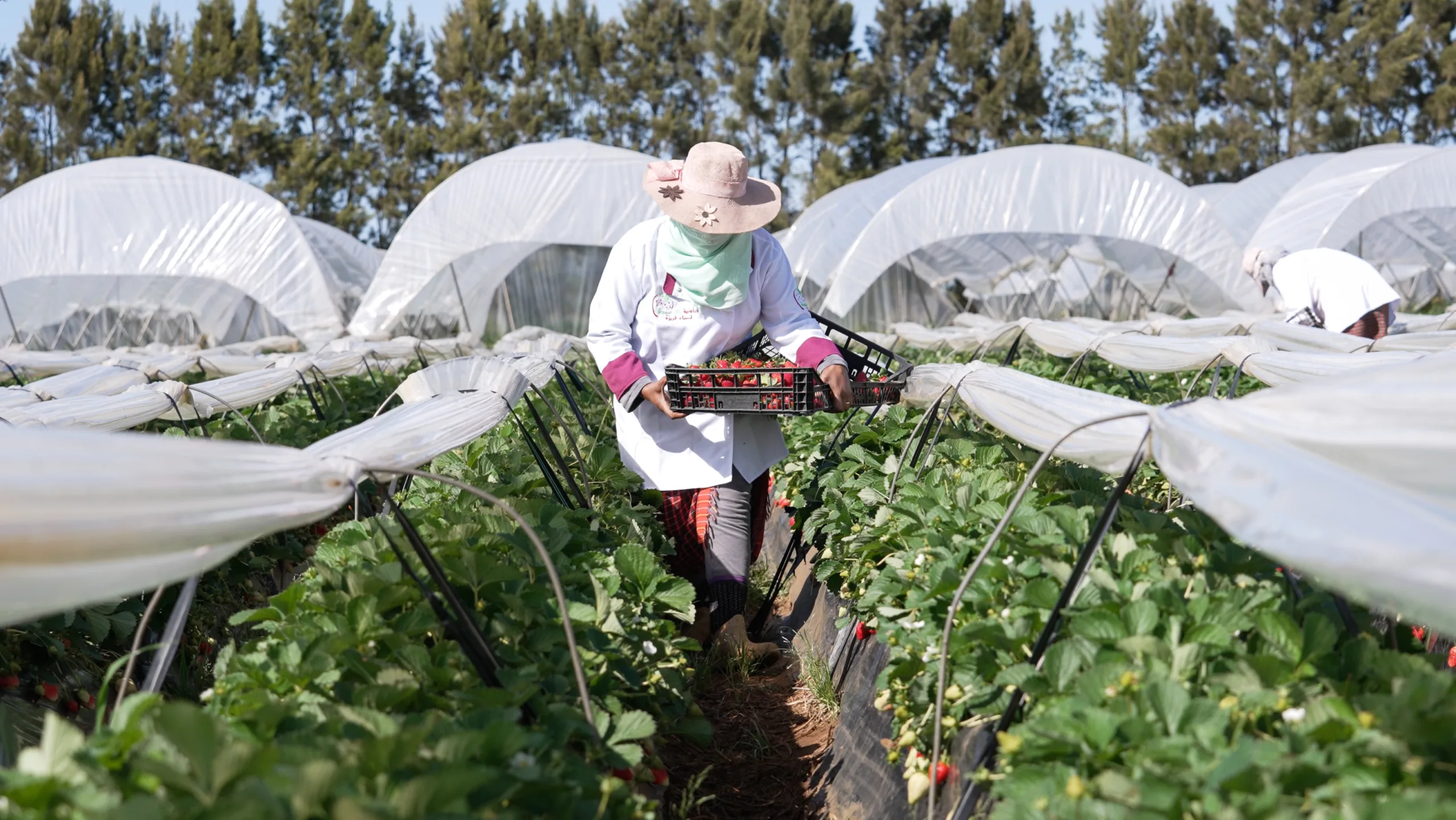 OCP Foundation 2024: Over 89,000 Lives Impacted Through Education ...