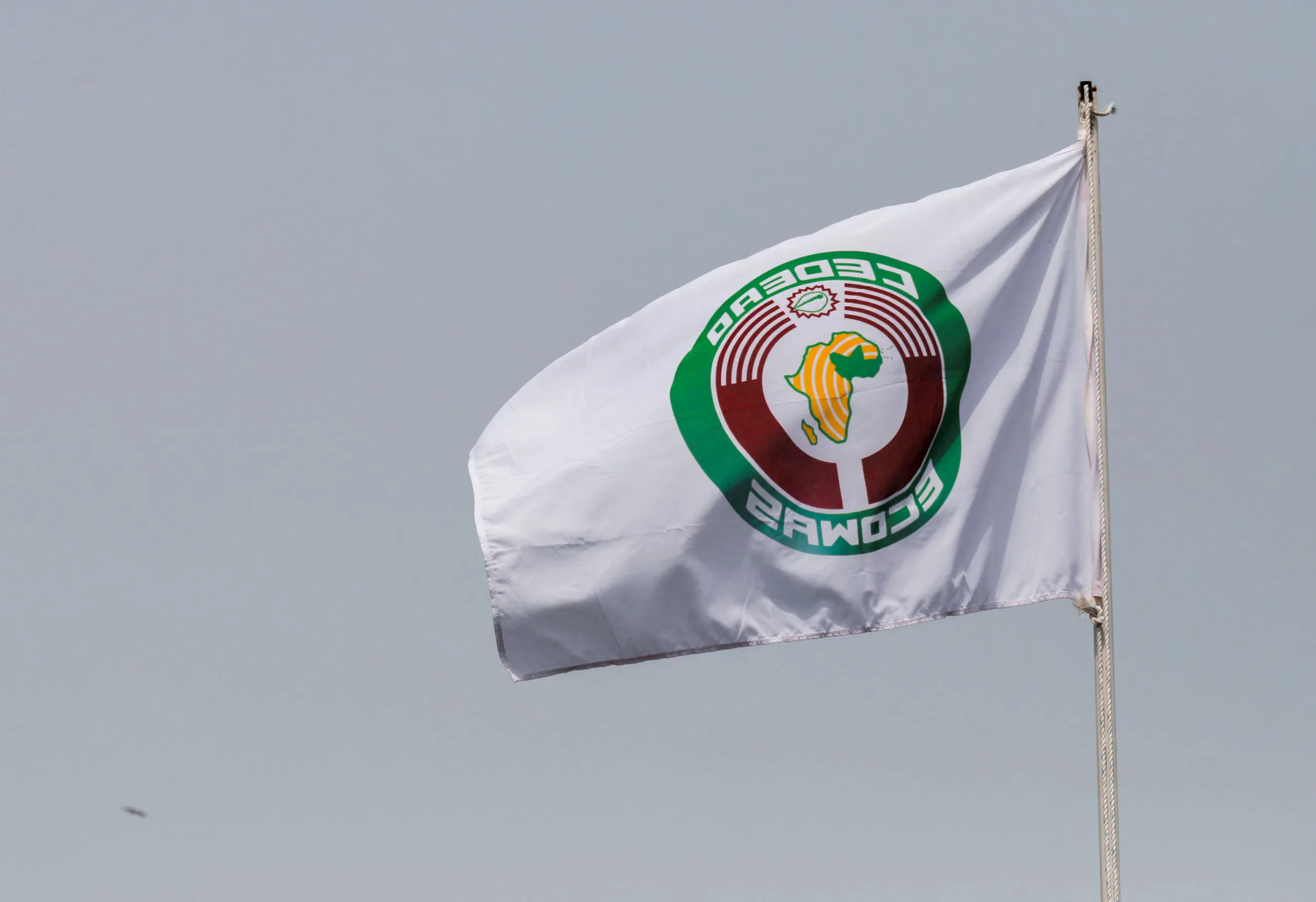 ECOWAS Voices Concern Over Heightened Tensions Between Algeria and Mali ...