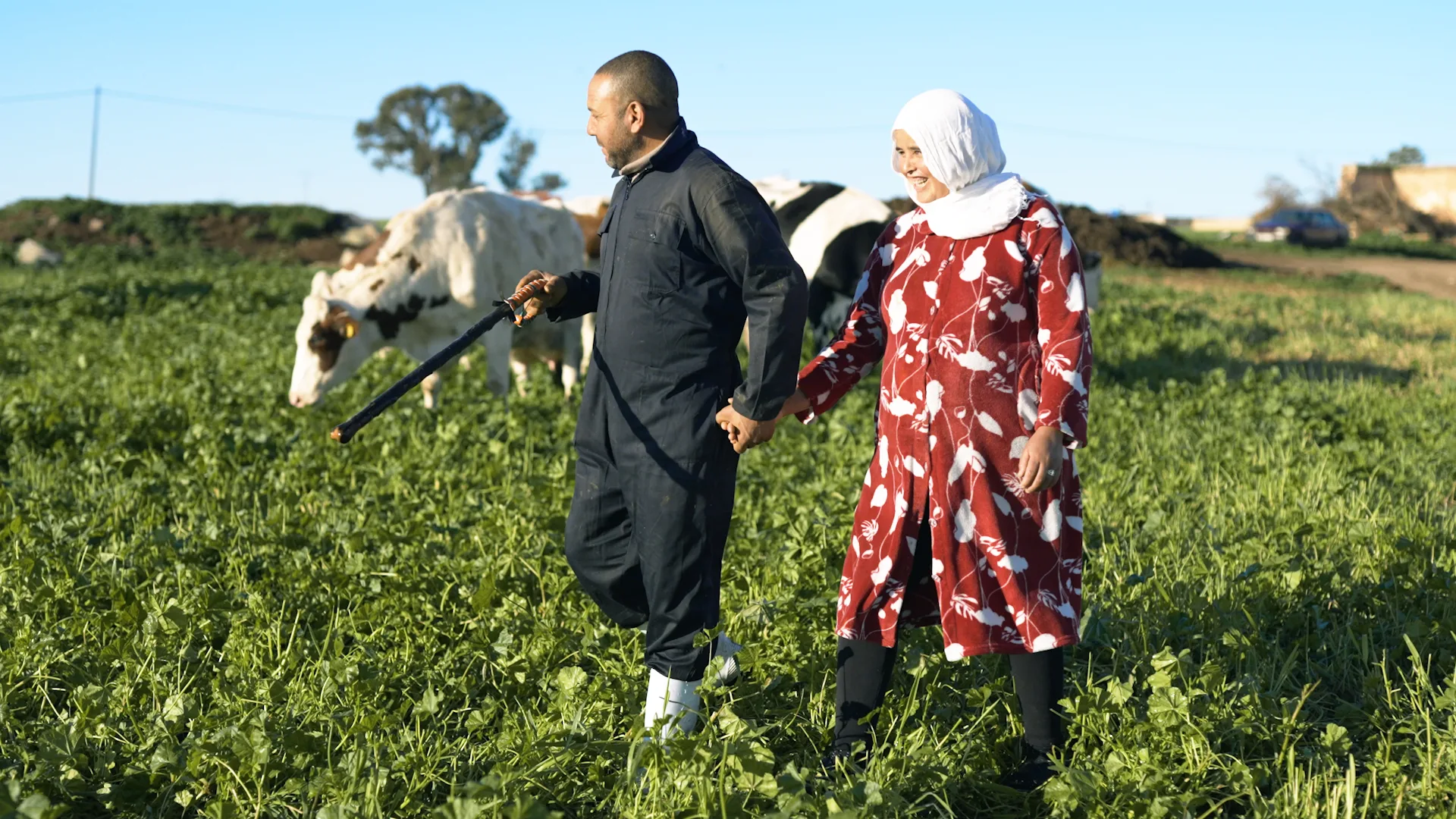 CESE: 70% of Morocco’s Farms Are Family-Run, Yet Still Underfunded CESE: 70% of Morocco’s Farms ...