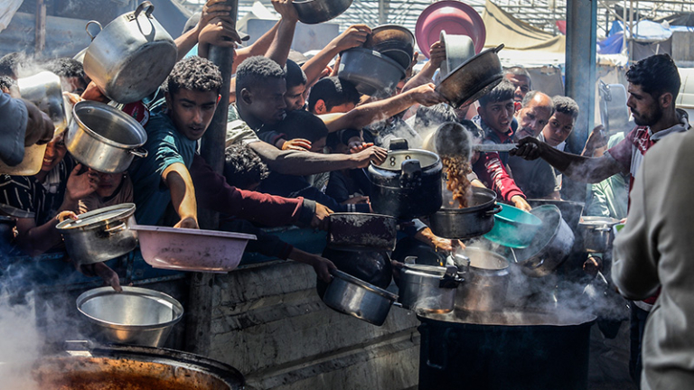 Gaza Keeps Bleeding: IOF Kills at Least 29 Palestinians Today Amid ...