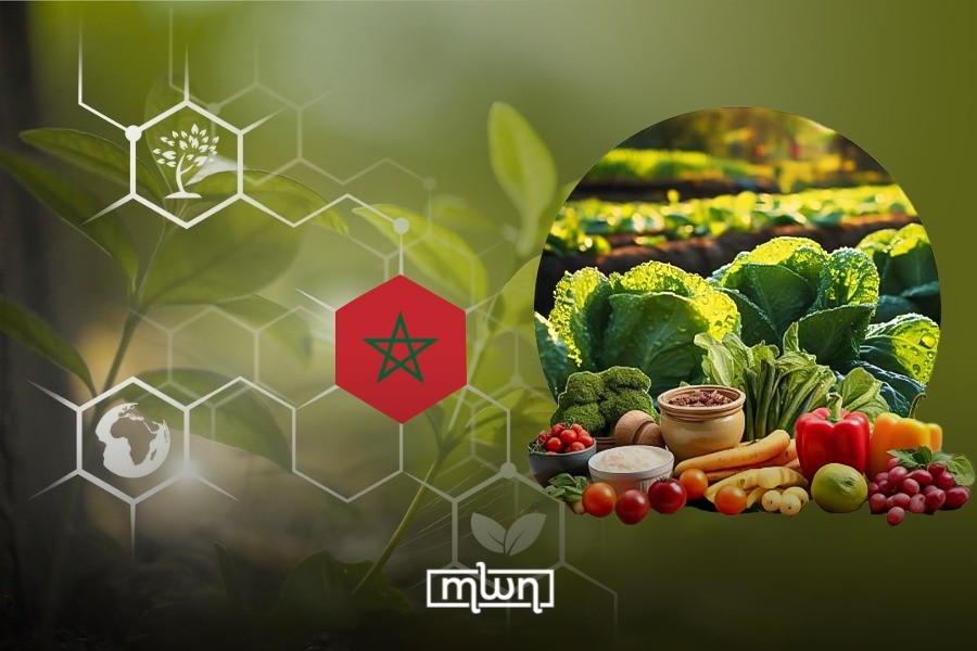 Morocco Hosts First Agro Export Day in November to Boost Food Industry ...