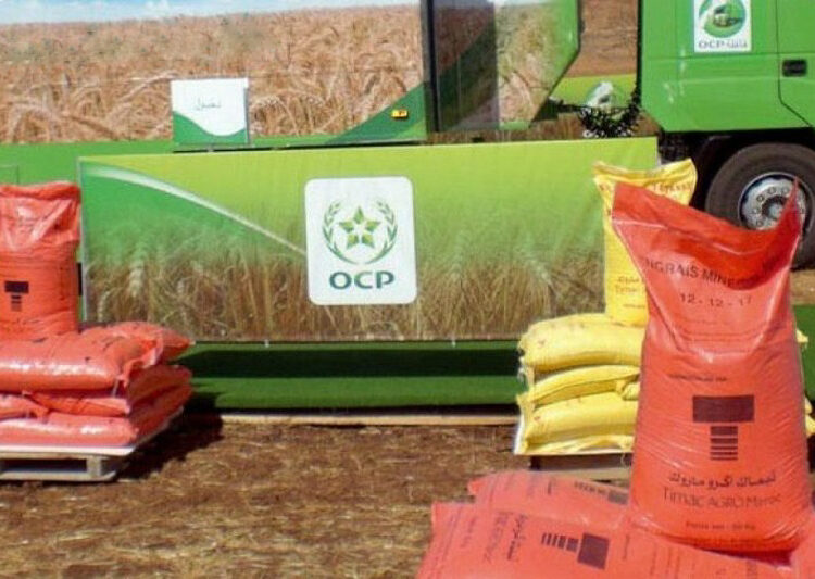 OCP Launches New NP 5-42 Fertilizer to Reduce Ammonia Dependency